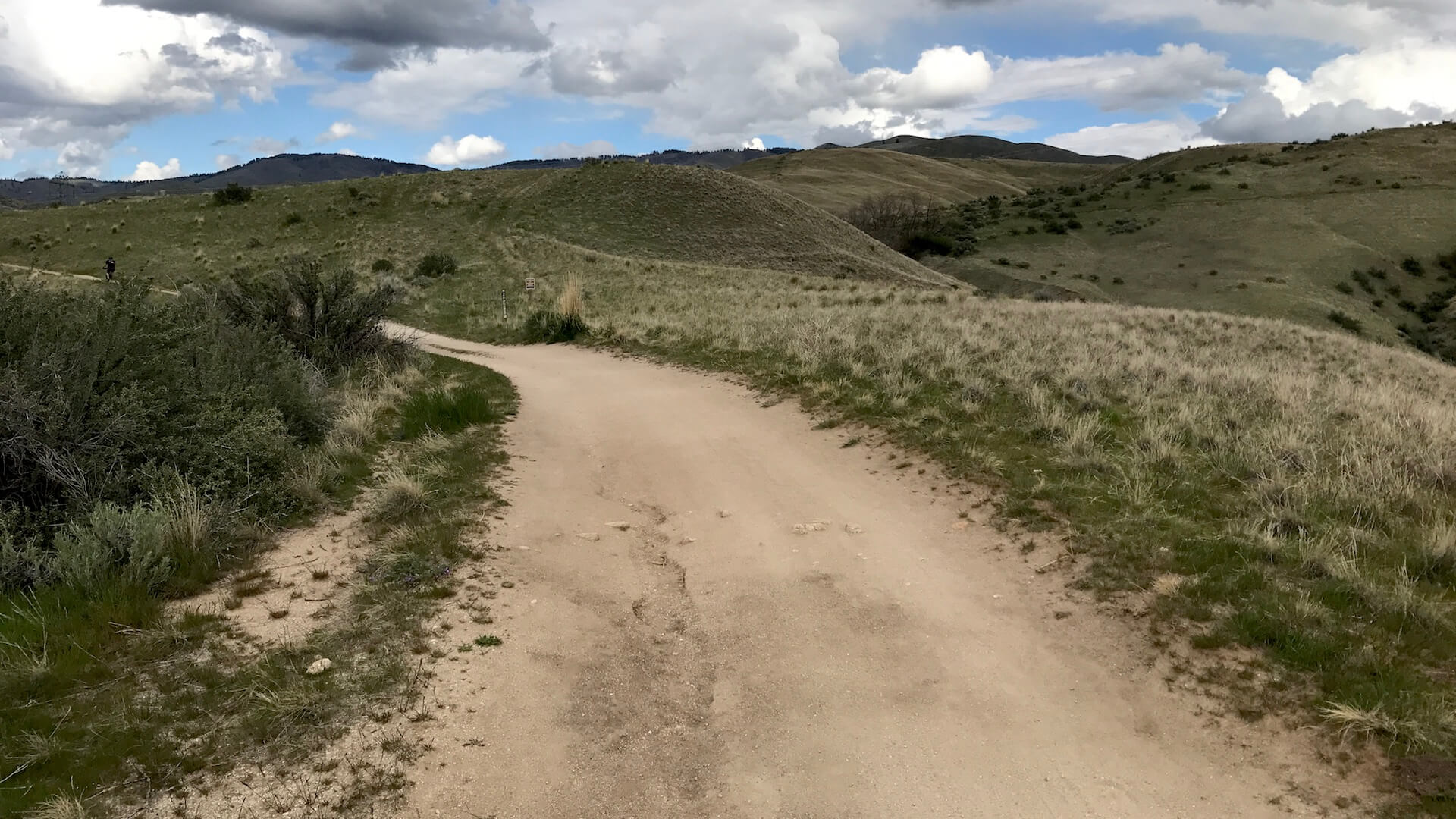 How to Track Runs Using My Simple and Easy Race Tracker – Reid’s For Fun